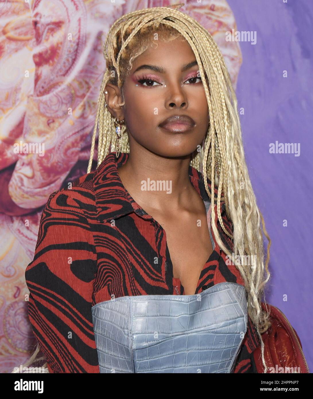 Los Angeles, USA. 22nd Feb, 2022. Diamond White arrives at the World ...