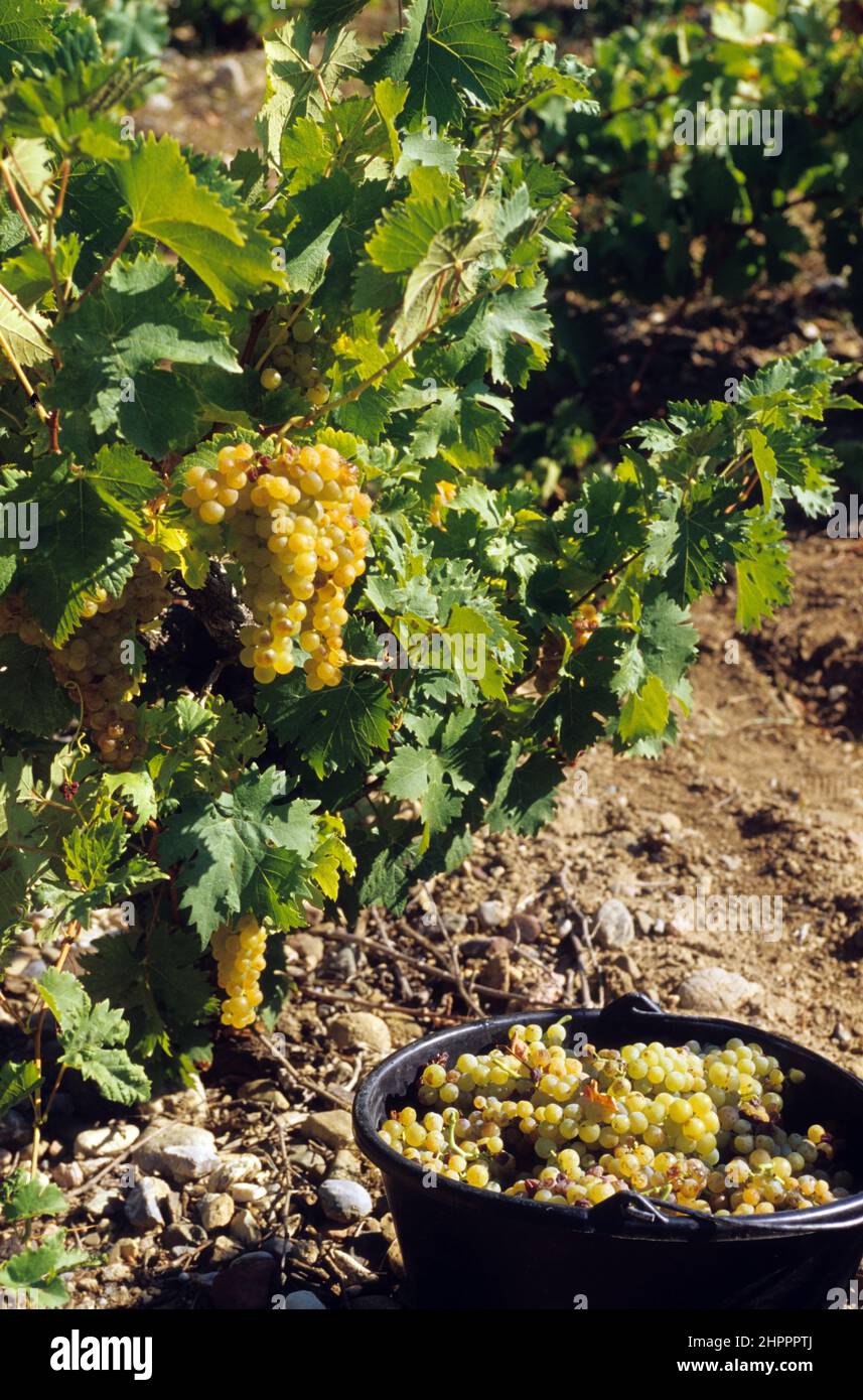 0151286 hi-res stock photography and images - Alamy