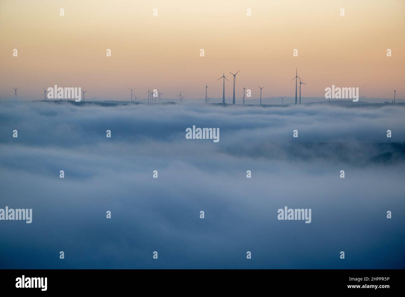 Hochwald forest hi-res stock photography and images - Alamy