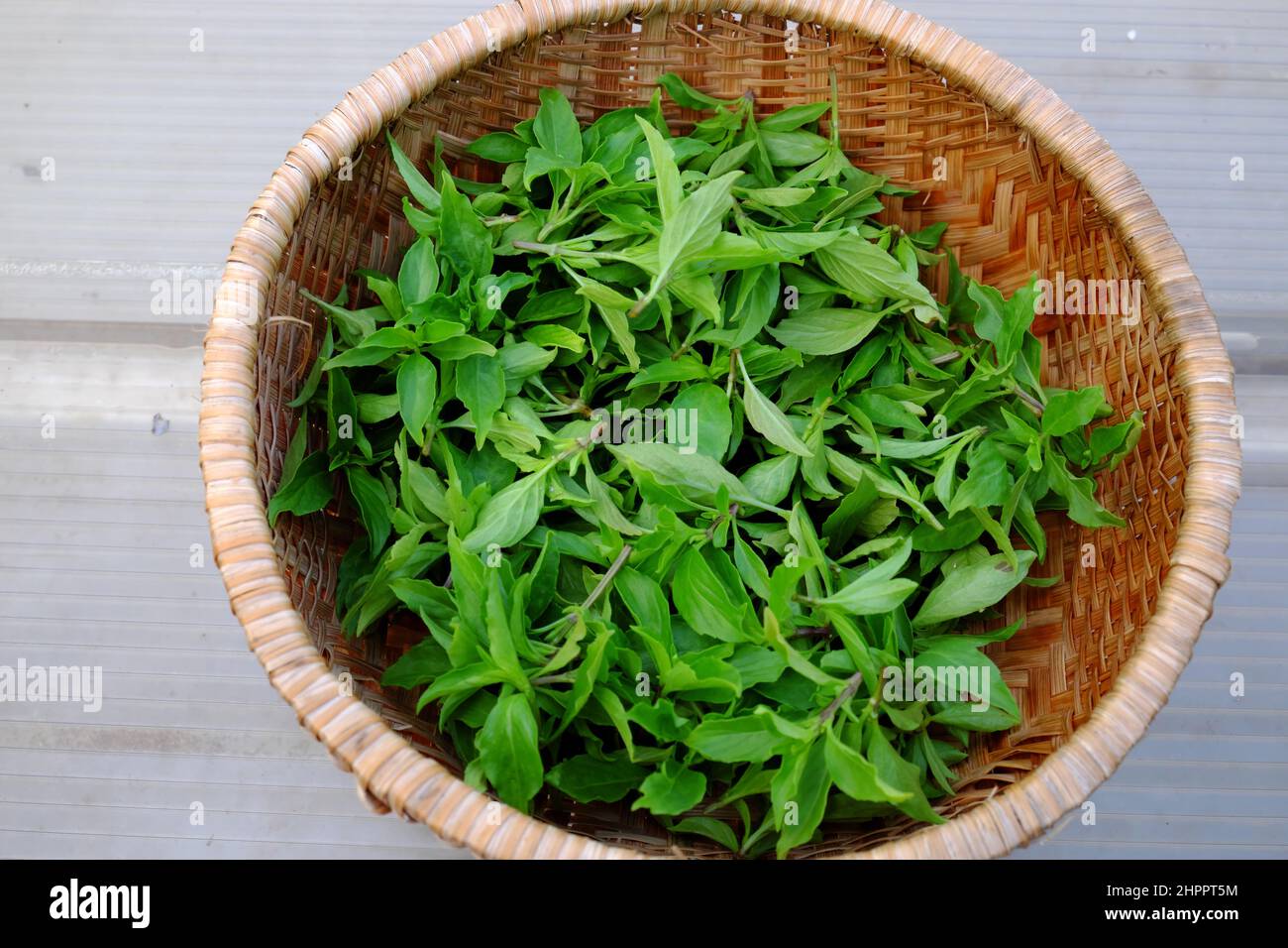 Top view bamboo basket harvest from city garden on rooftop, basil leaf ...