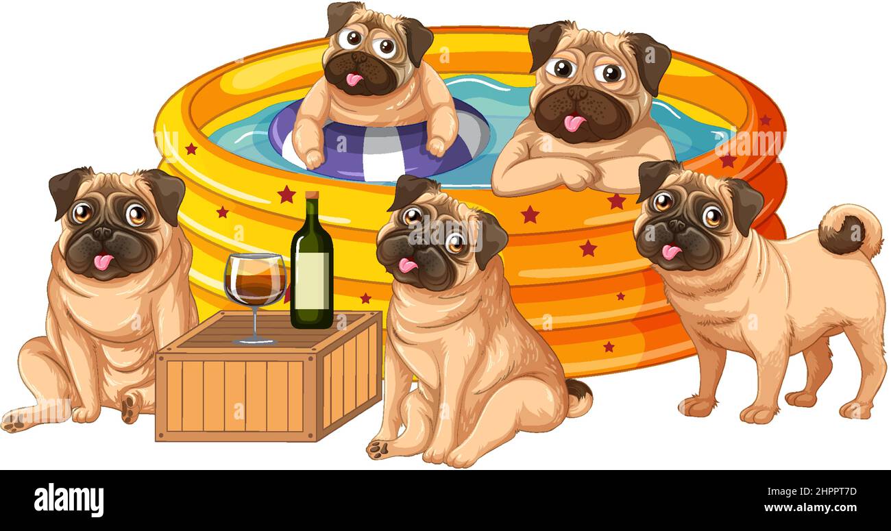 Five pugs playing in the pool illustration Stock Vector Image & Art - Alamy