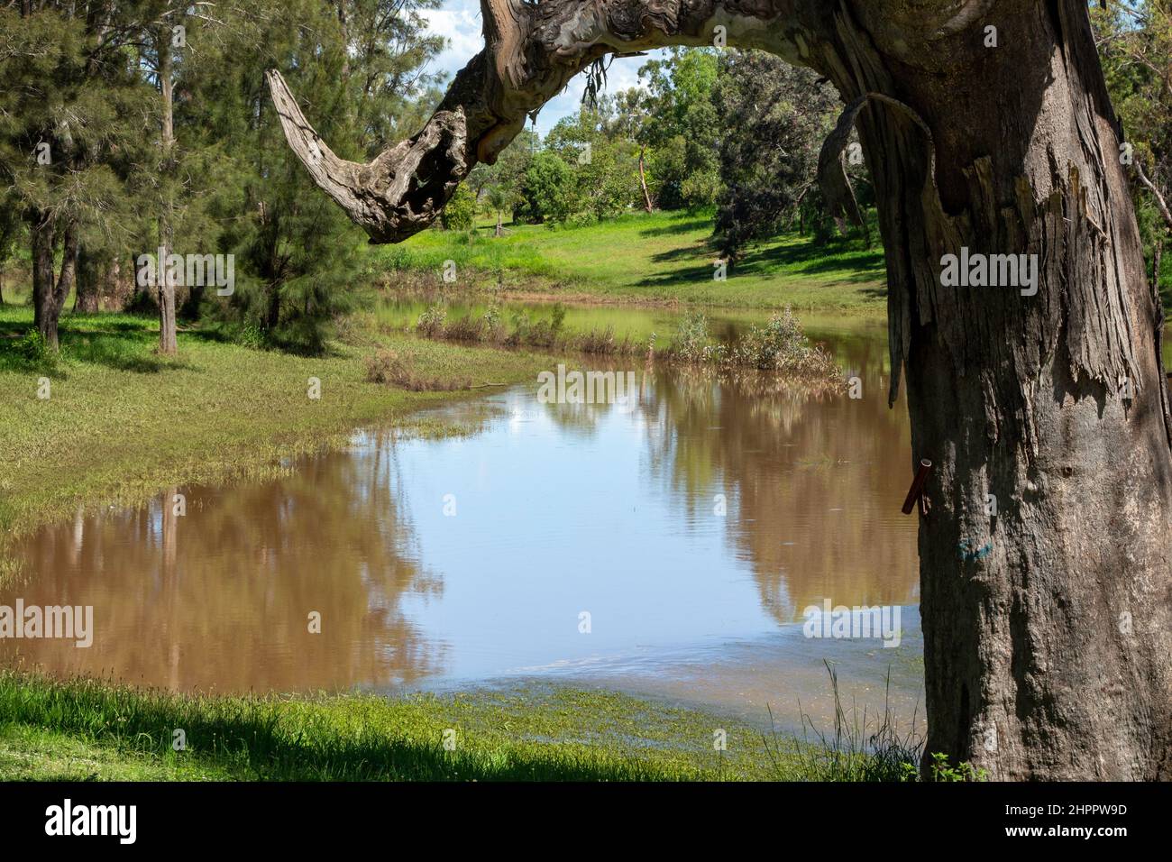 Oakey Creek at Arthur Shooter Park after Heavy rain Stock Photo - Alamy