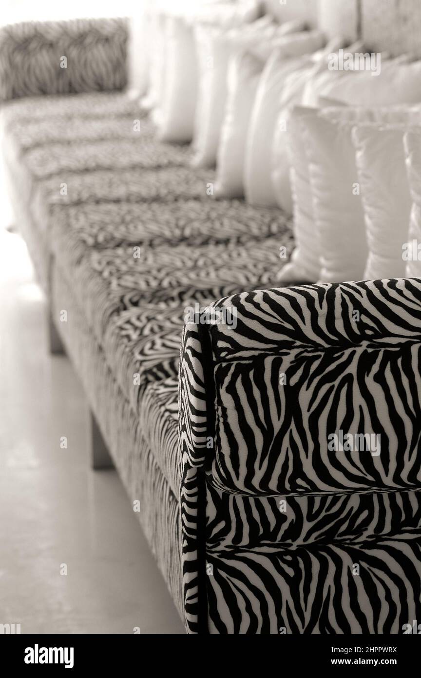 Trendy zebra sofa Stock Photo - Alamy