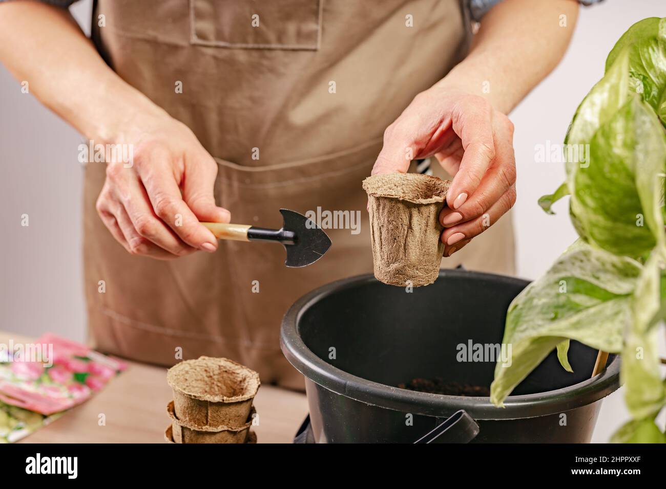 Women's hands fill peat pots for plants with soil. Process of ...