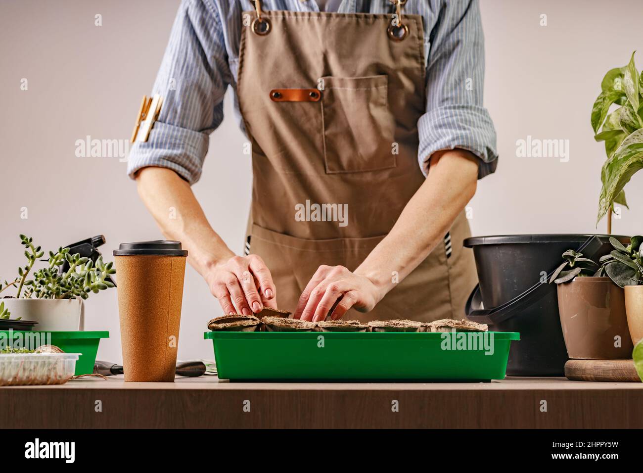 Prepended seedlings hi-res stock photography and images - Alamy