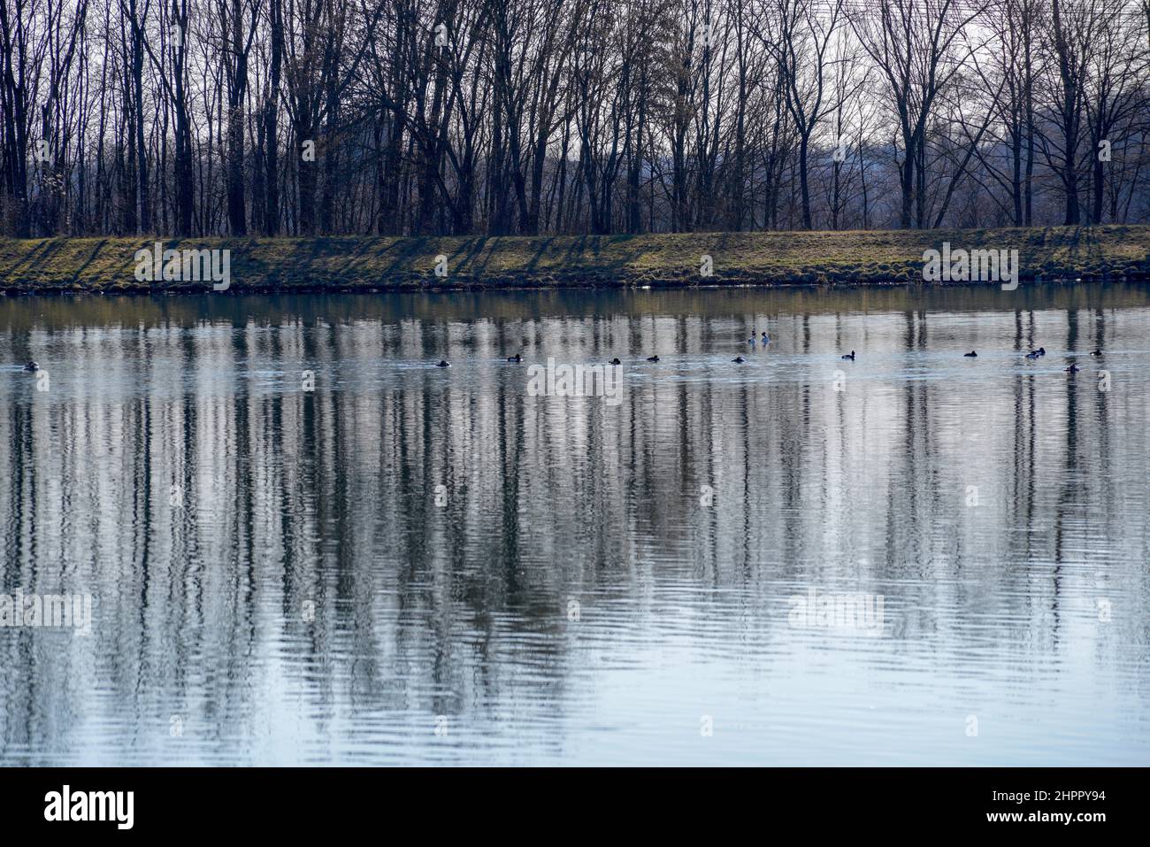 The rain is a tributary of the Danube and flows through the Bavarian ...