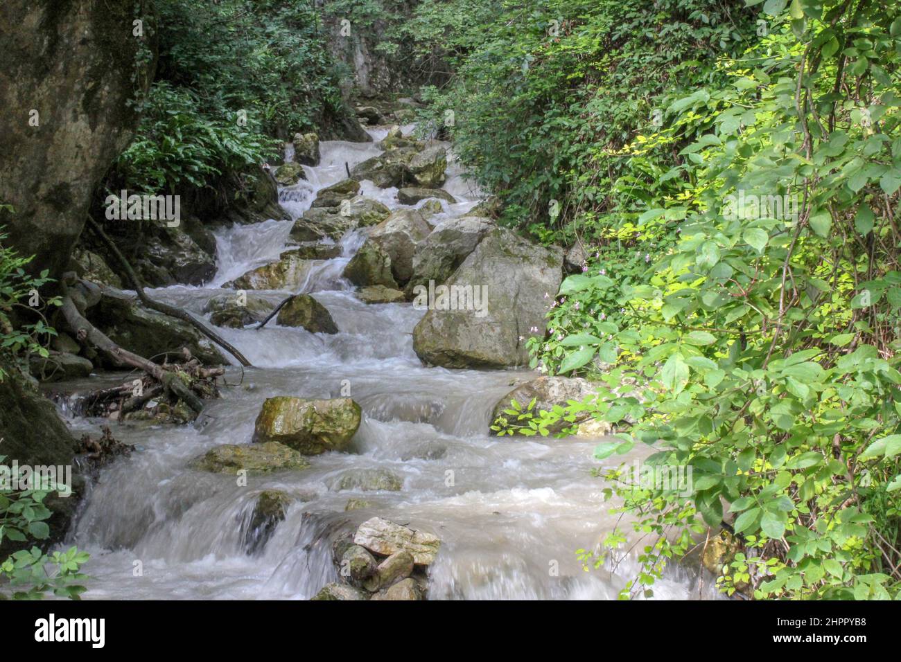 The rain is a tributary of the Danube and flows through the Bavarian ...