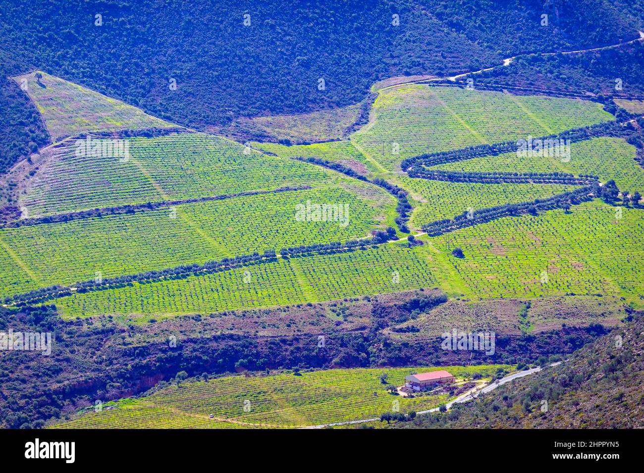 Leonidio, town in the Arcadia region of the Peleponnese area, Greece ...