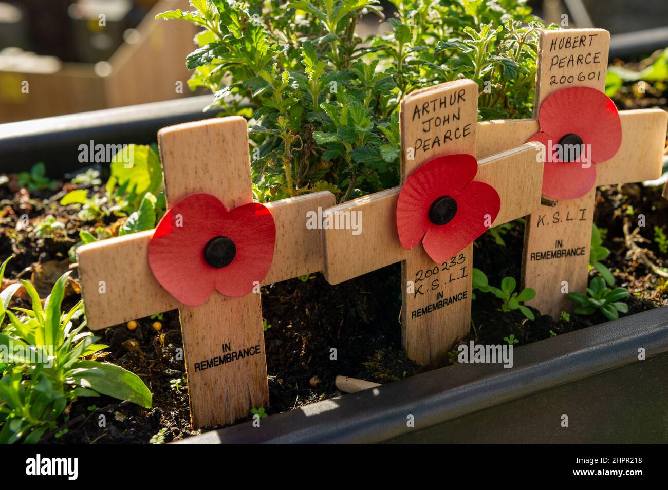 Remembrance crosses at Ironbridge, Shropshire Stock Photo - Alamy