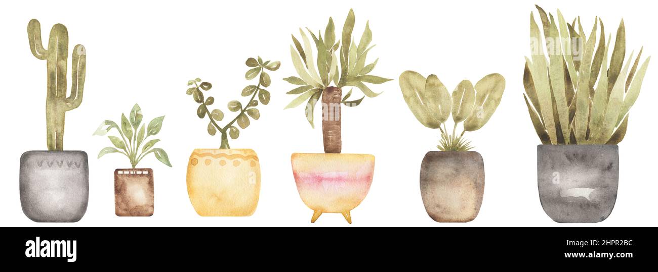 Boho indoor plant clipart. Watercolor modern home decor illustration ...