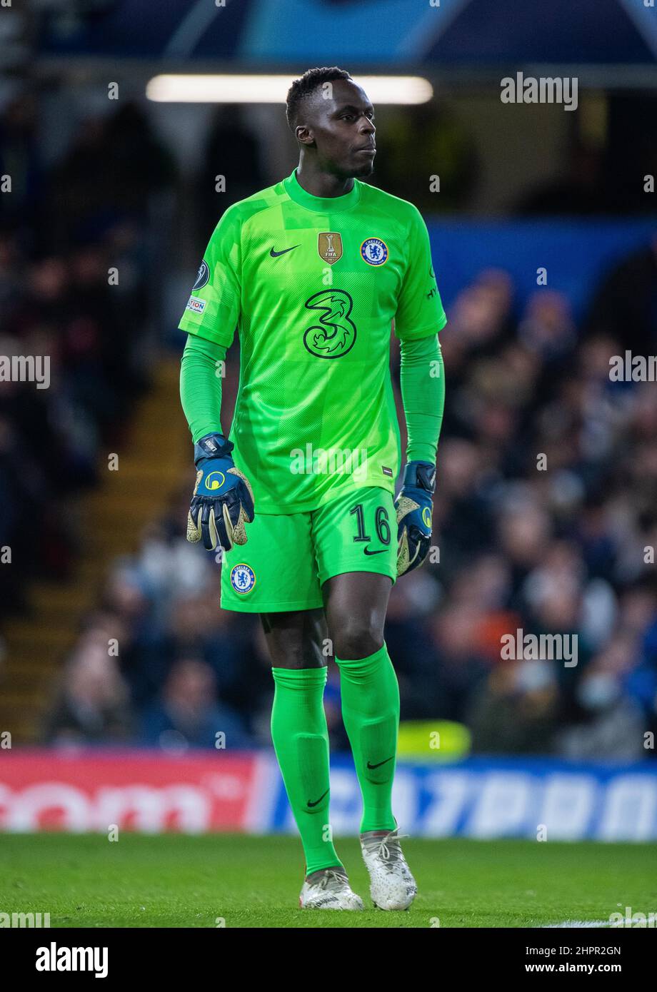 LONDON, ENGLAND - FEBRUARY 22: Edouard Mendy of Chelsea FC during the ...