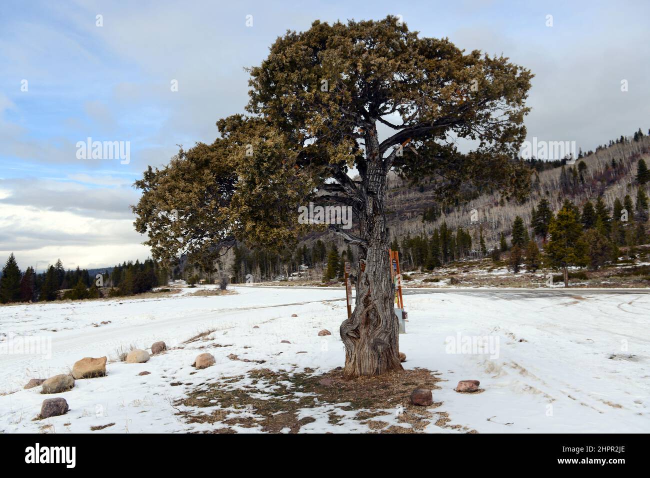Walking on the snow along the Provo river in the Mirror lake area in ...