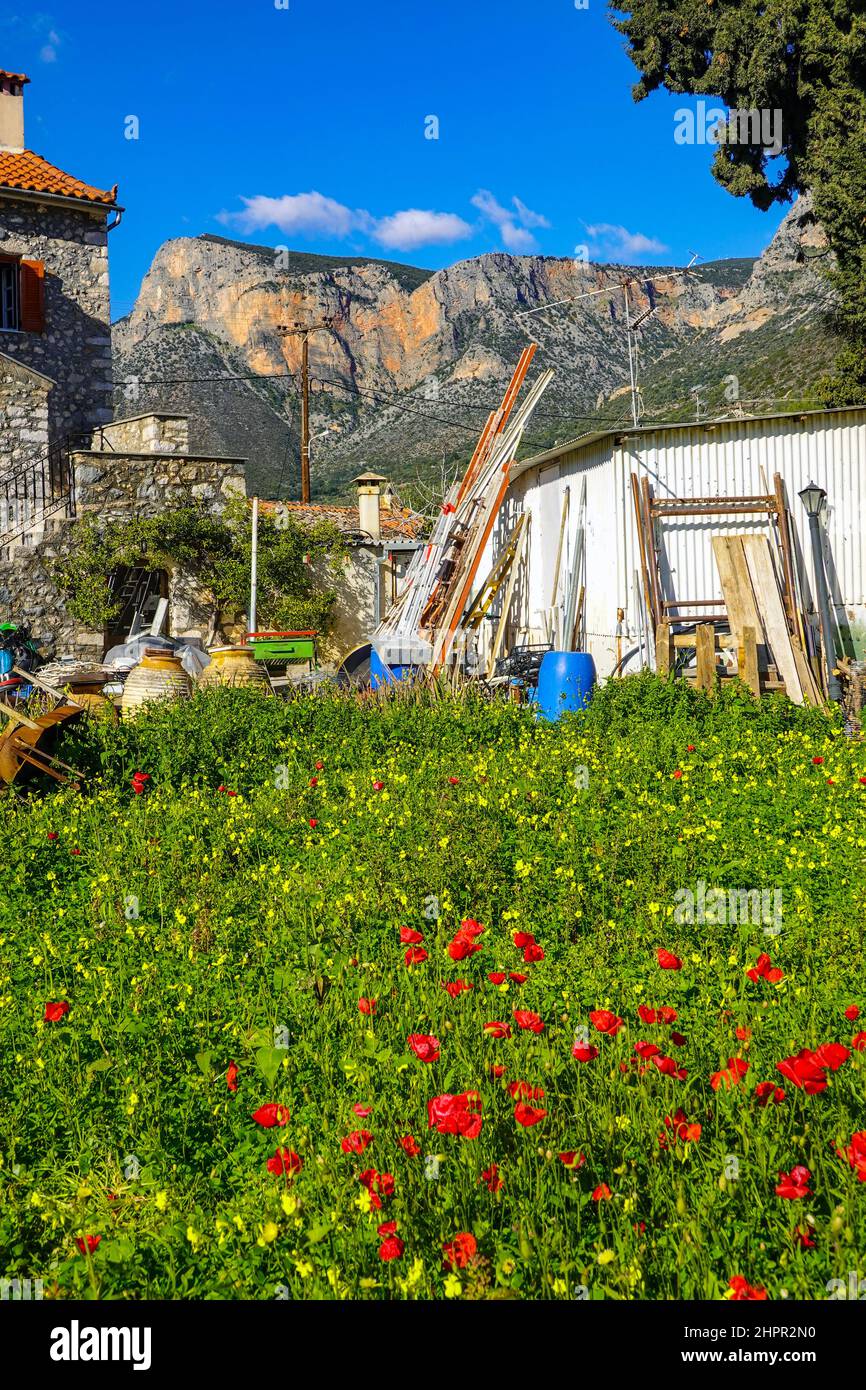Leonidio, town in the Arcadia region of the Peleponnese area, Greece ...