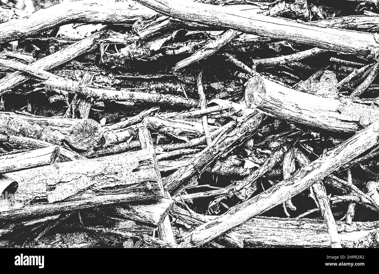 Distressed overlay wooden branch texture, grunge background. abstract ...