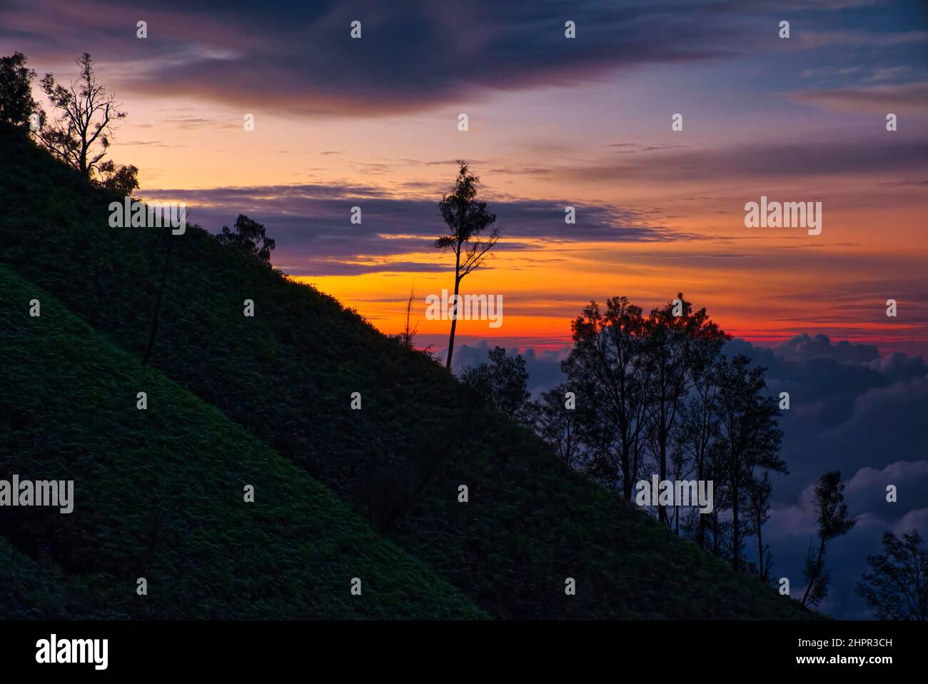 200 meters heat hi-res stock photography and images - Alamy