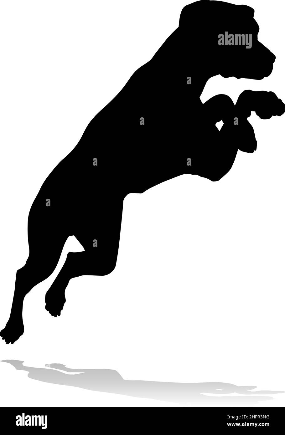 Dog Silhouette Pet Animal Stock Vector Image & Art - Alamy