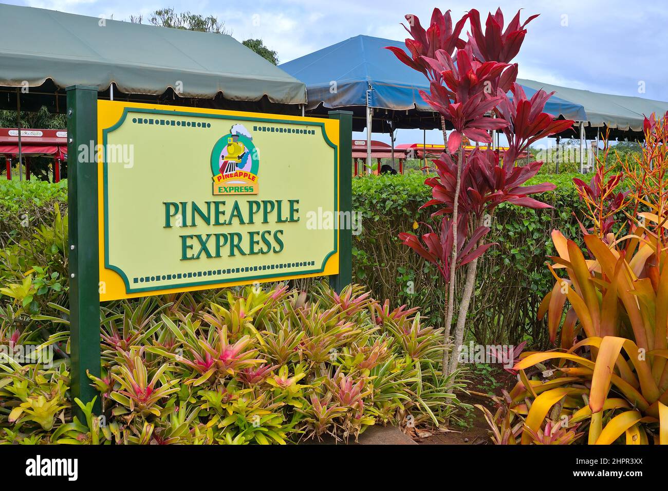 The historic pineapple plantation of Dole plc in the village of Wahiawa ...