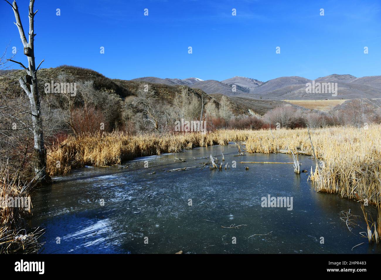 Scenic Rock Cliff nature center by the Provo river in Kamas, Utah, USA ...