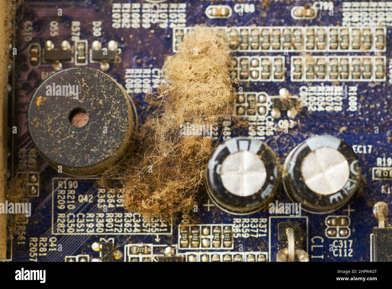 Old computer system unit with spider web and dust inside Stock Photo ...