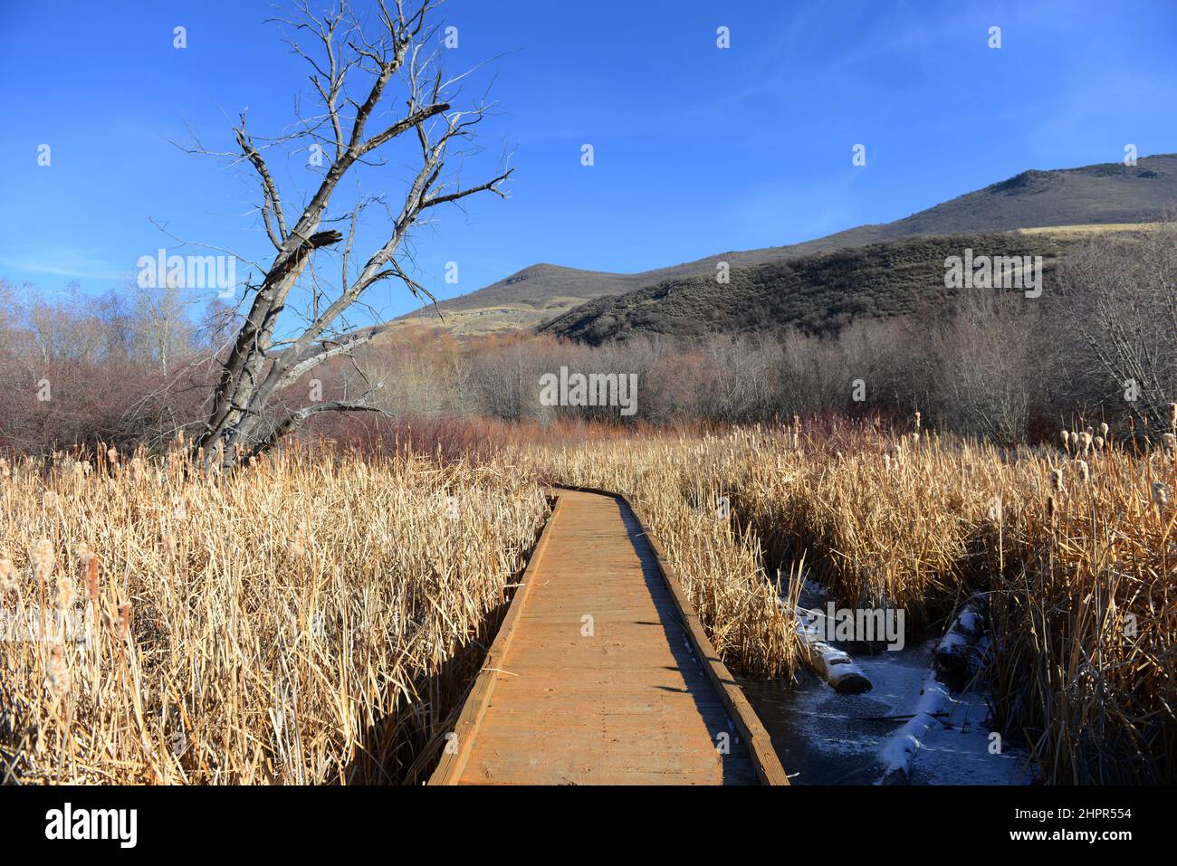 Scenic Rock Cliff nature center by the Provo river in Kamas, Utah, USA ...