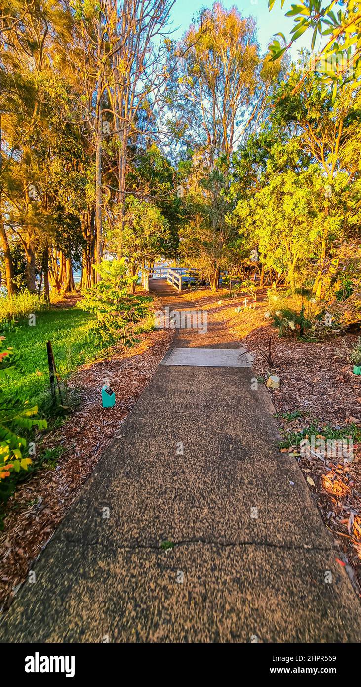 Vertical of a pathway between green grass and trees on the bank of a ...