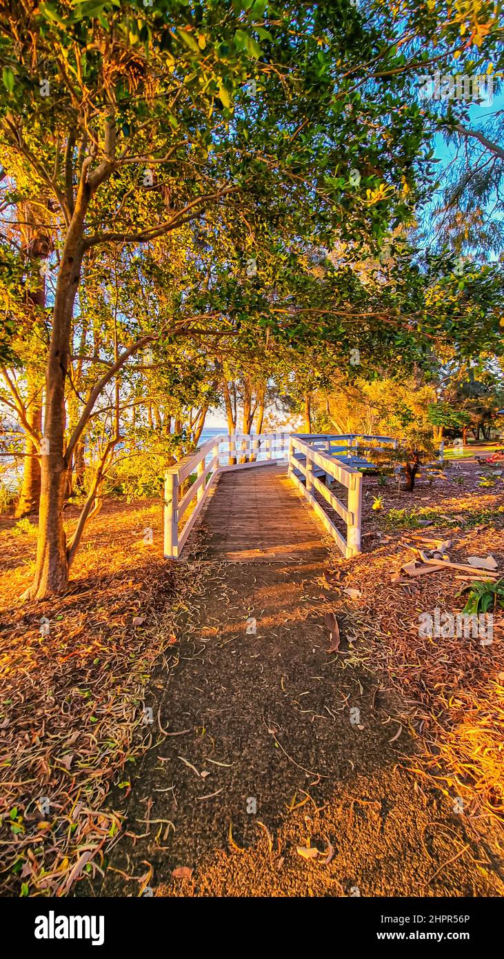 Vertical of a pathway between green grass and trees on the bank of a ...