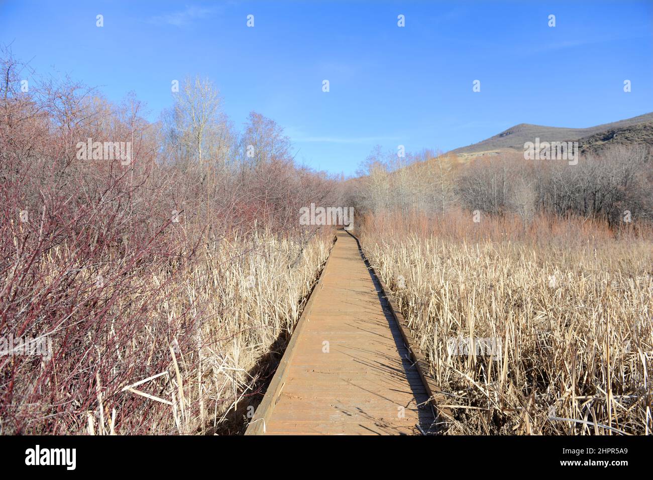 Scenic Rock Cliff nature center by the Provo river in Kamas, Utah, USA ...