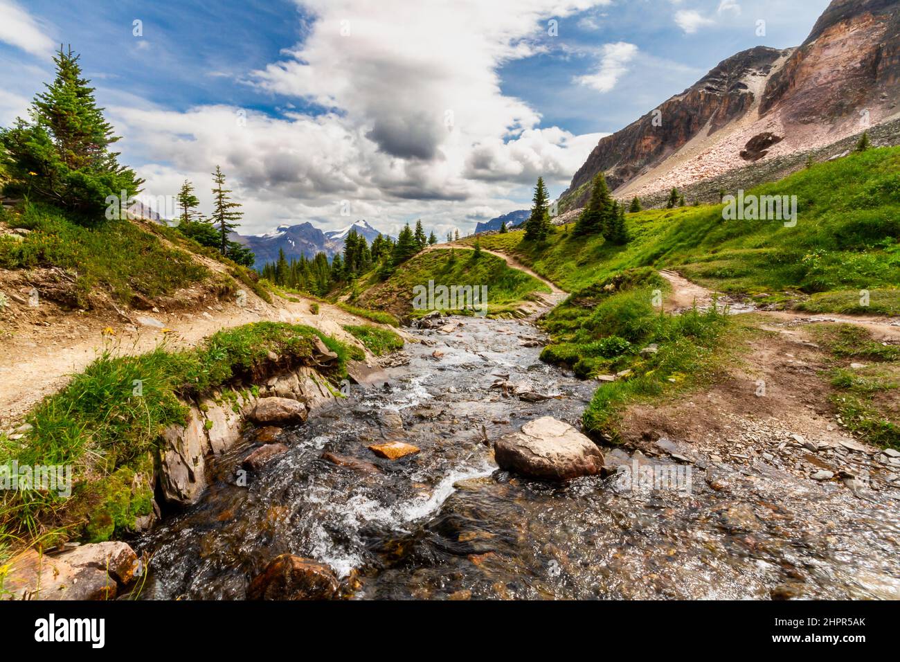 The Rocky Mountains. A small alpine stream along the Helen Lake trail ...