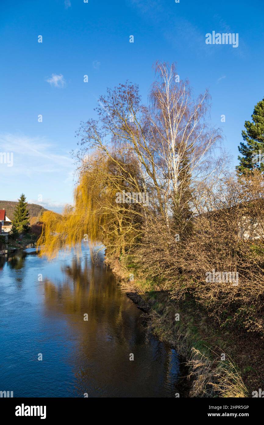 view to river Unstrut at Oldisleben with tree Stock Photo - Alamy