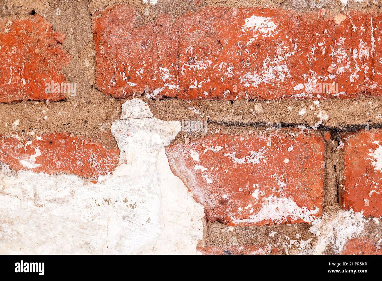 old brick cellar wall with peeling white plaster and paint Stock Photo ...