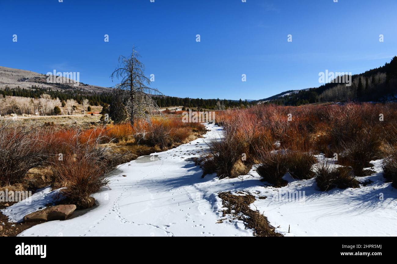 Walking on the snow along the Provo river in the Mirror lake area in ...