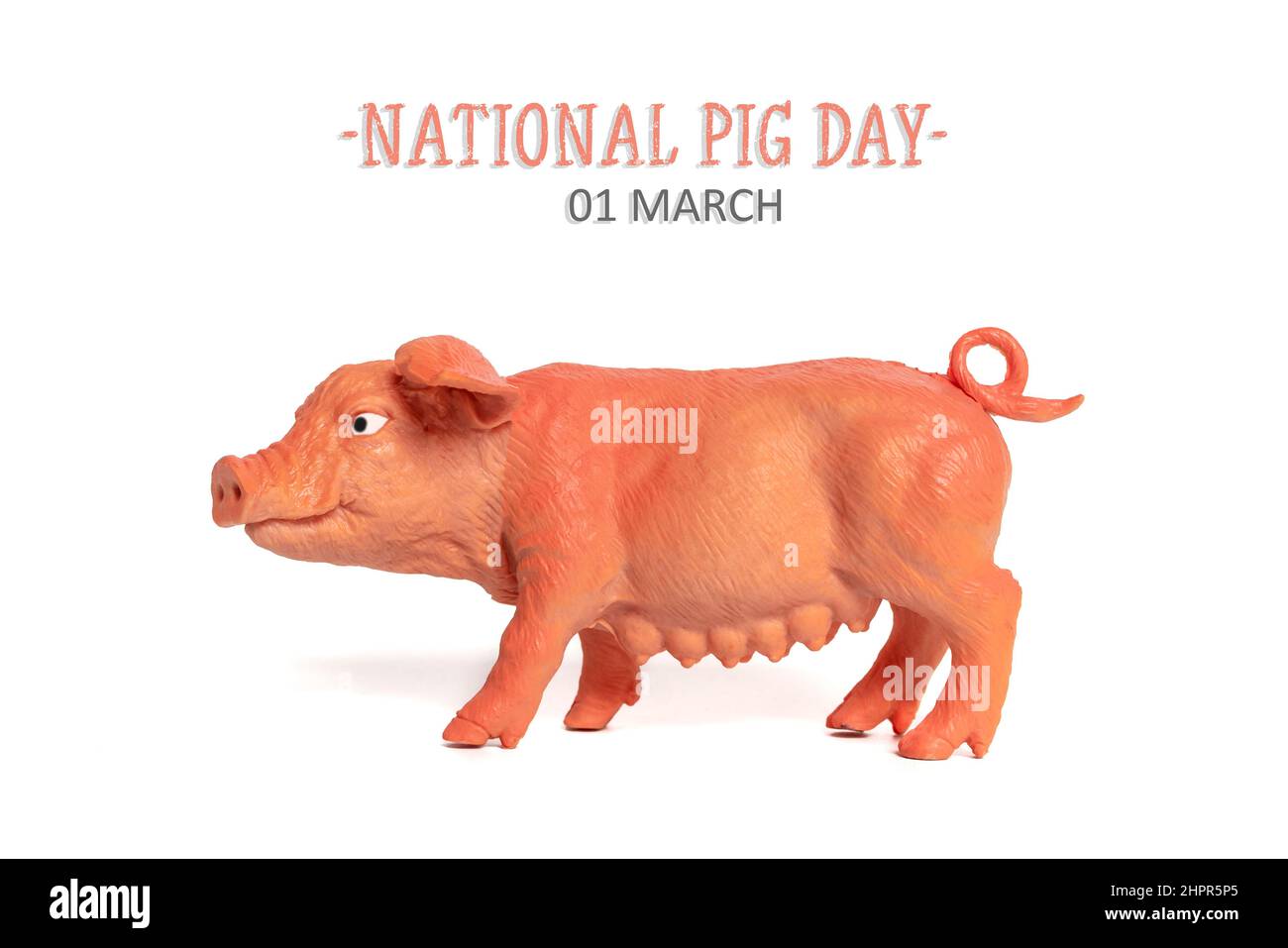March 01, National Pig Day, celebrated annually on March 1st, is the ...