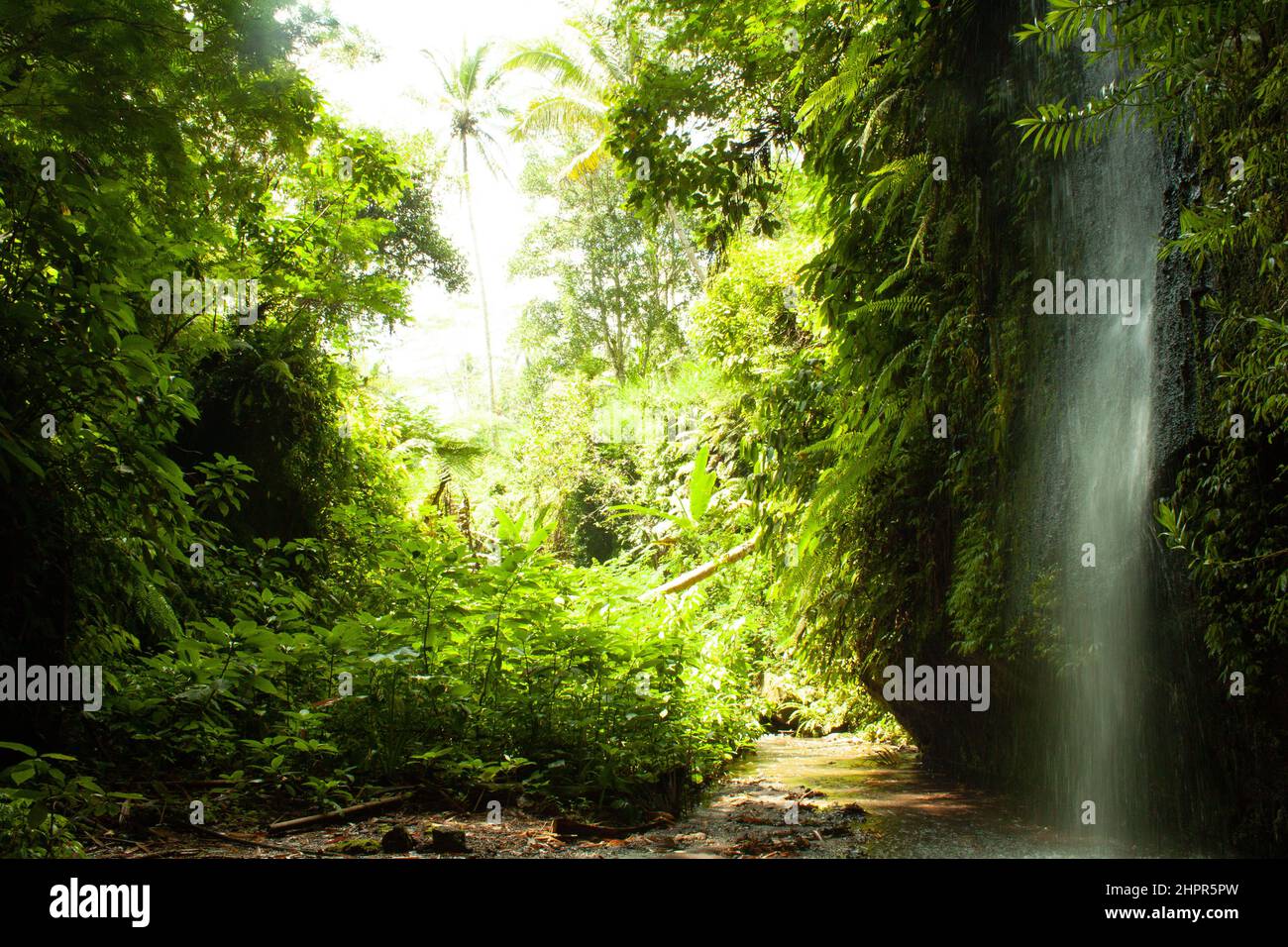 Tropical southeast asia hi-res stock photography and images - Alamy