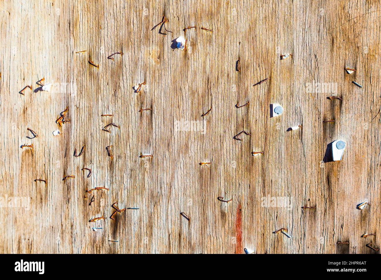 old grungy rotten wooden wall with old pins Stock Photo - Alamy