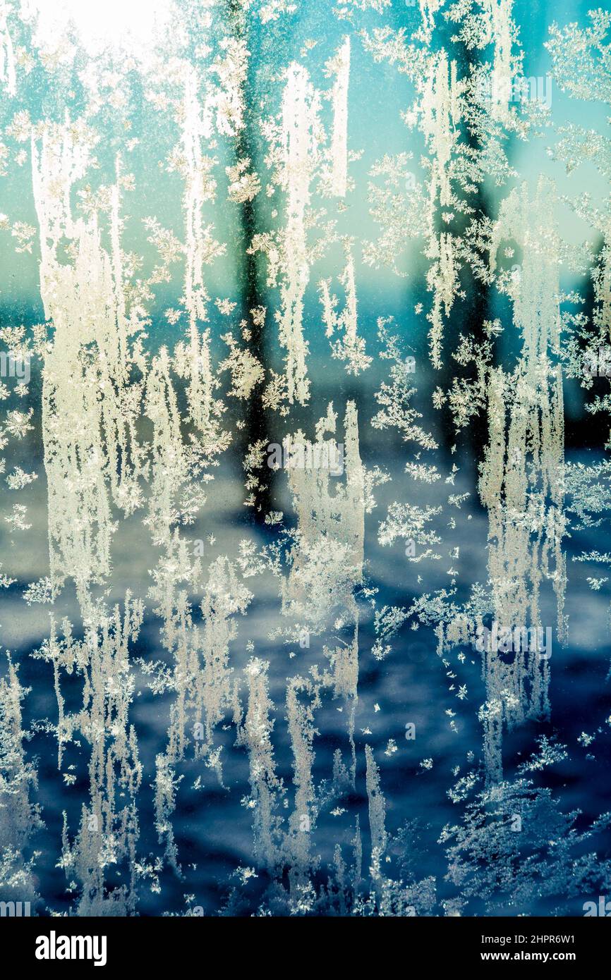 Ice stars hi-res stock photography and images - Alamy