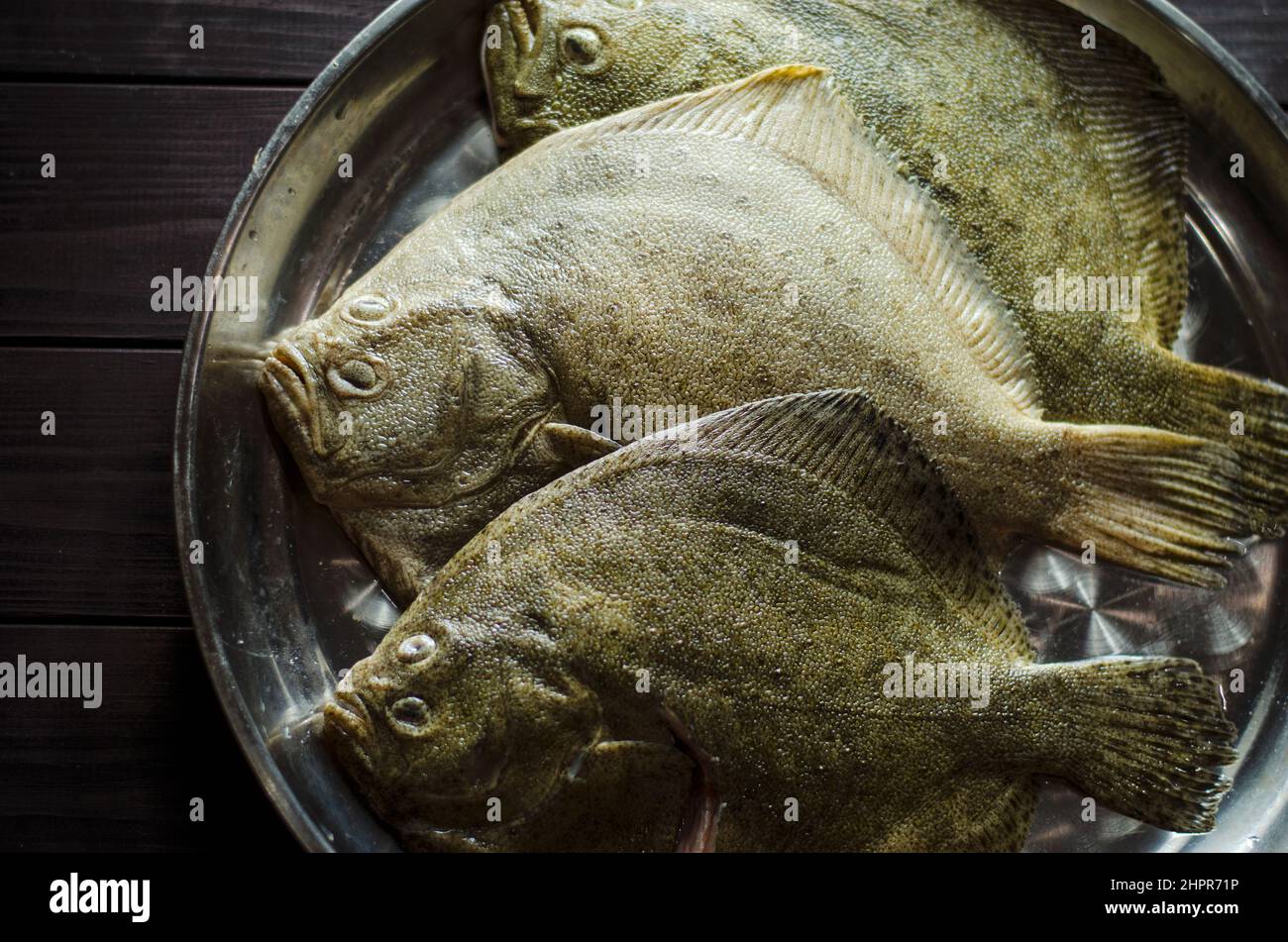 Flounder fish hi-res stock photography and images - Alamy