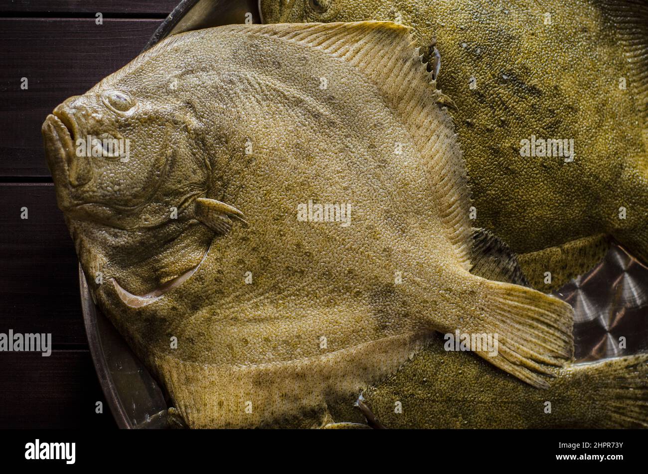 Flounder fish hi-res stock photography and images - Alamy