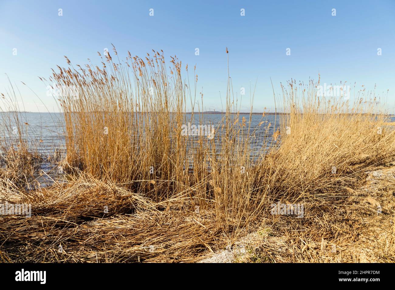 Backwater basin hi-res stock photography and images - Alamy