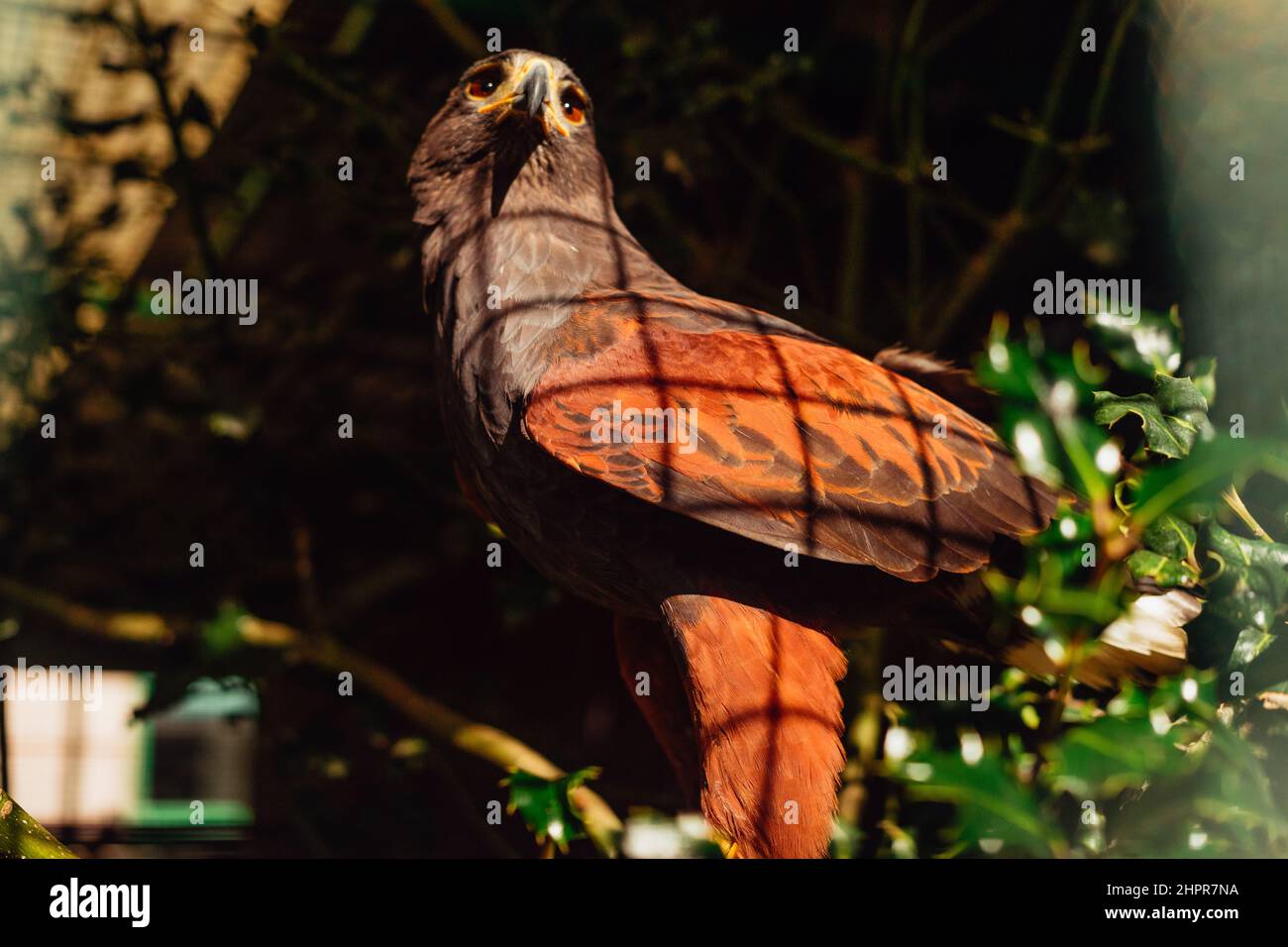Harris branch hi-res stock photography and images - Alamy