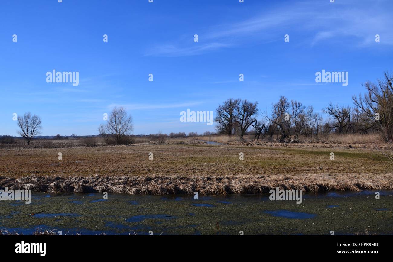 A river cutting the ground Stock Photo - Alamy