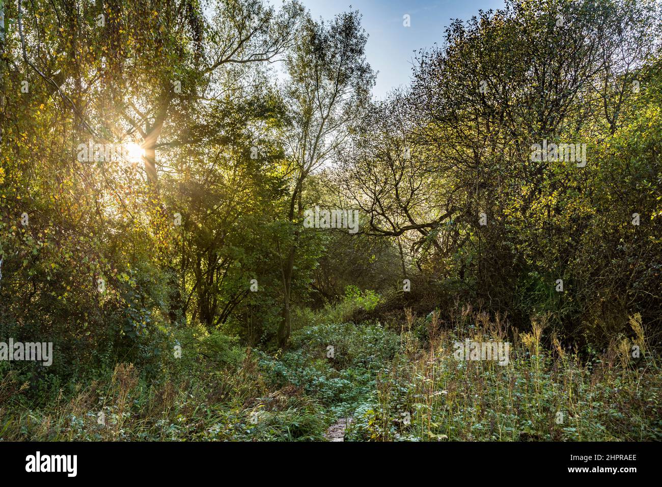Daum hi-res stock photography and images - Alamy