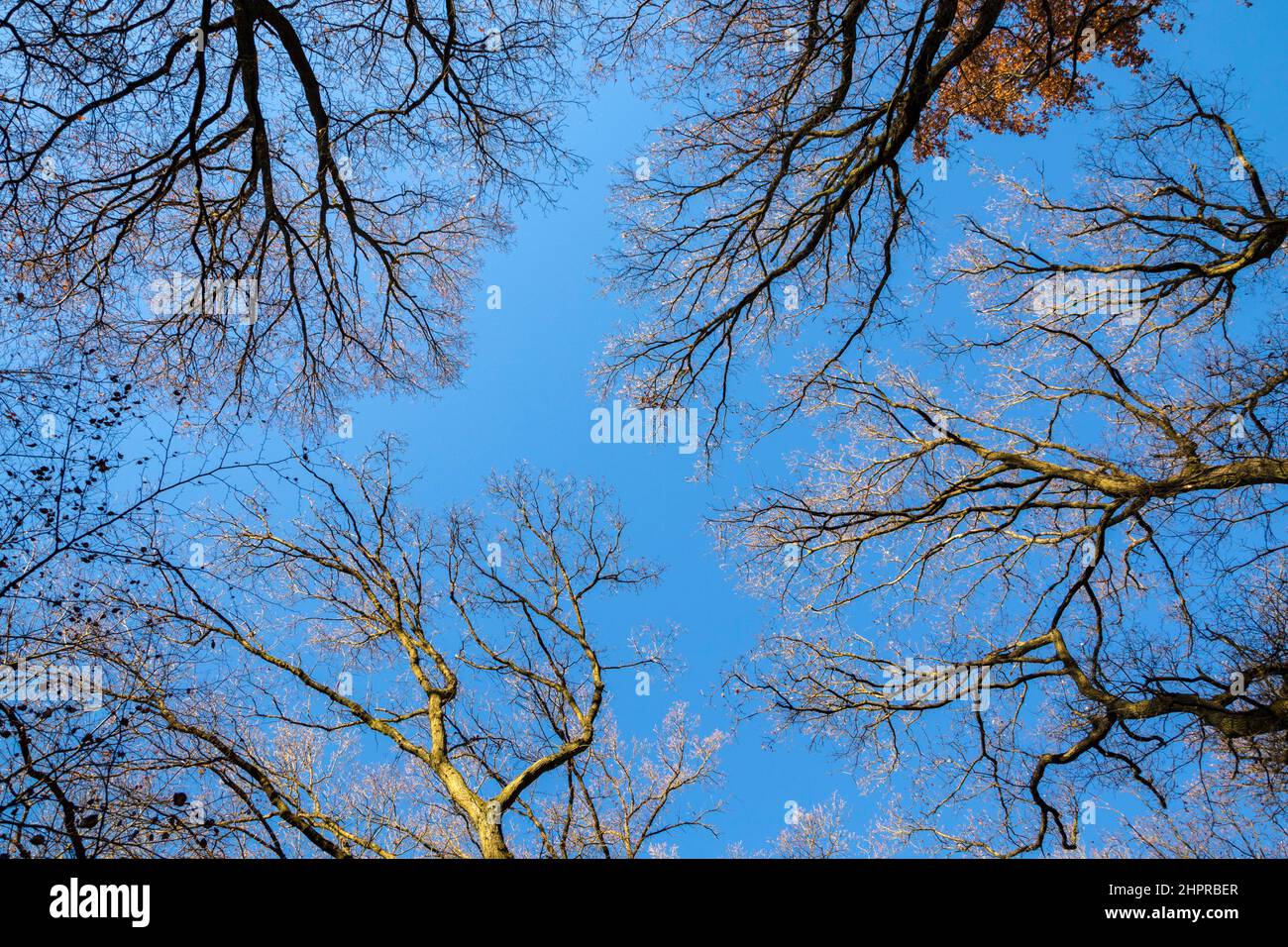 Autumn is beautiful hi-res stock photography and images - Alamy