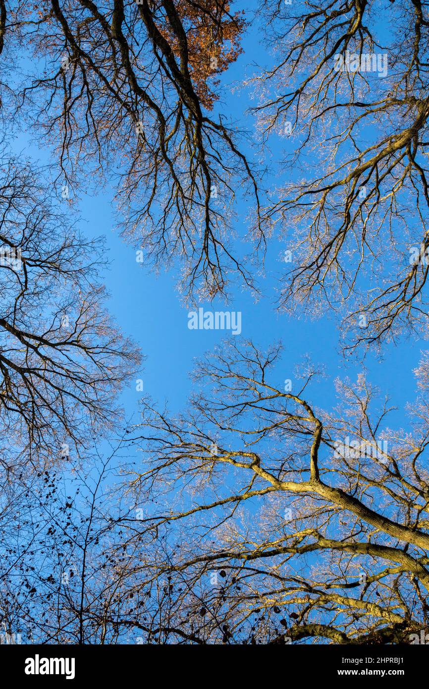 Autumn is beautiful hi-res stock photography and images - Alamy
