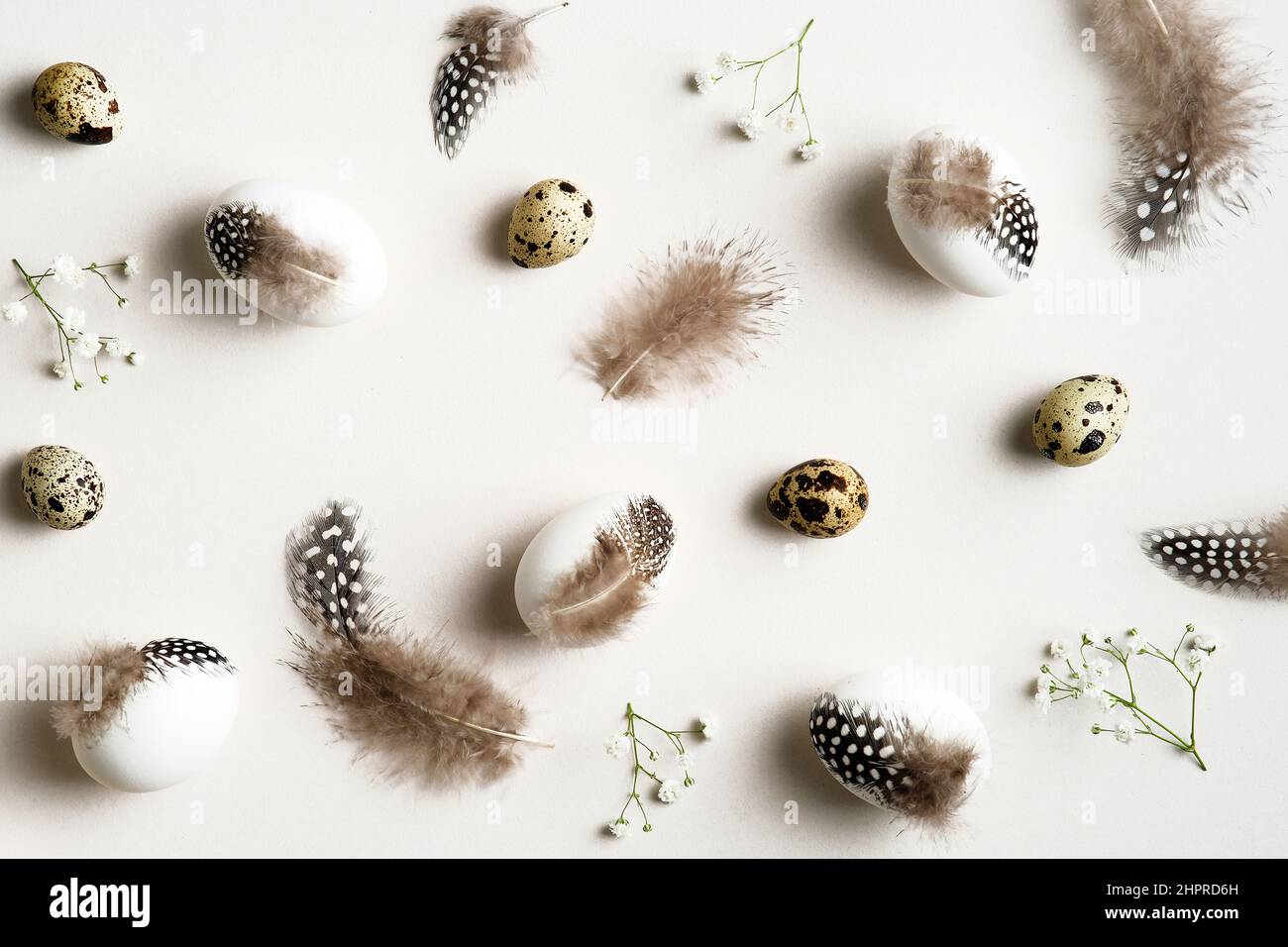 Easter flat lay composition. Easter eggs with feathers on white ...