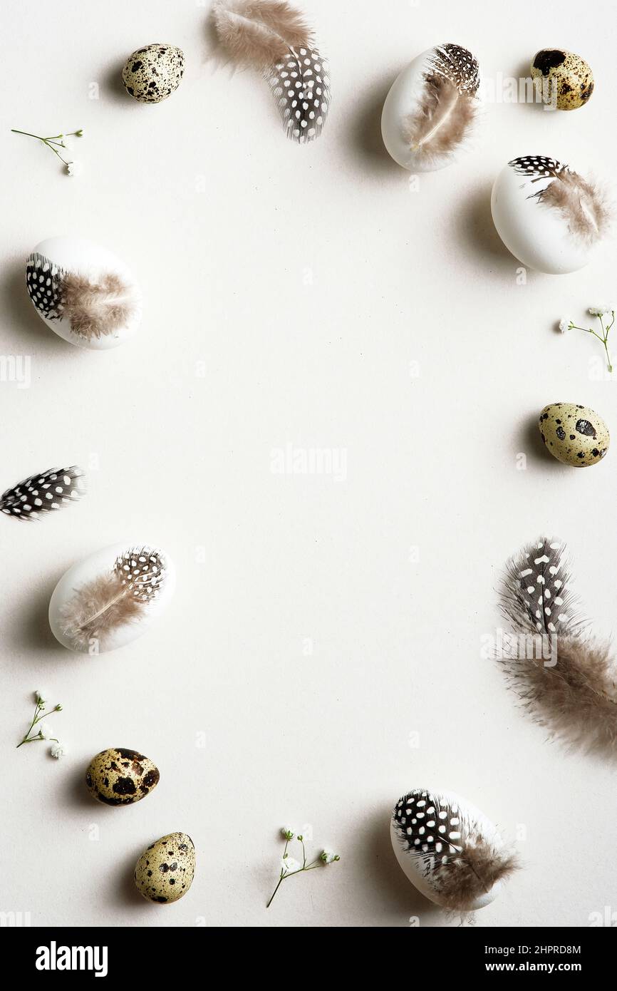 Easter flat lay composition. Easter eggs with feathers on white ...