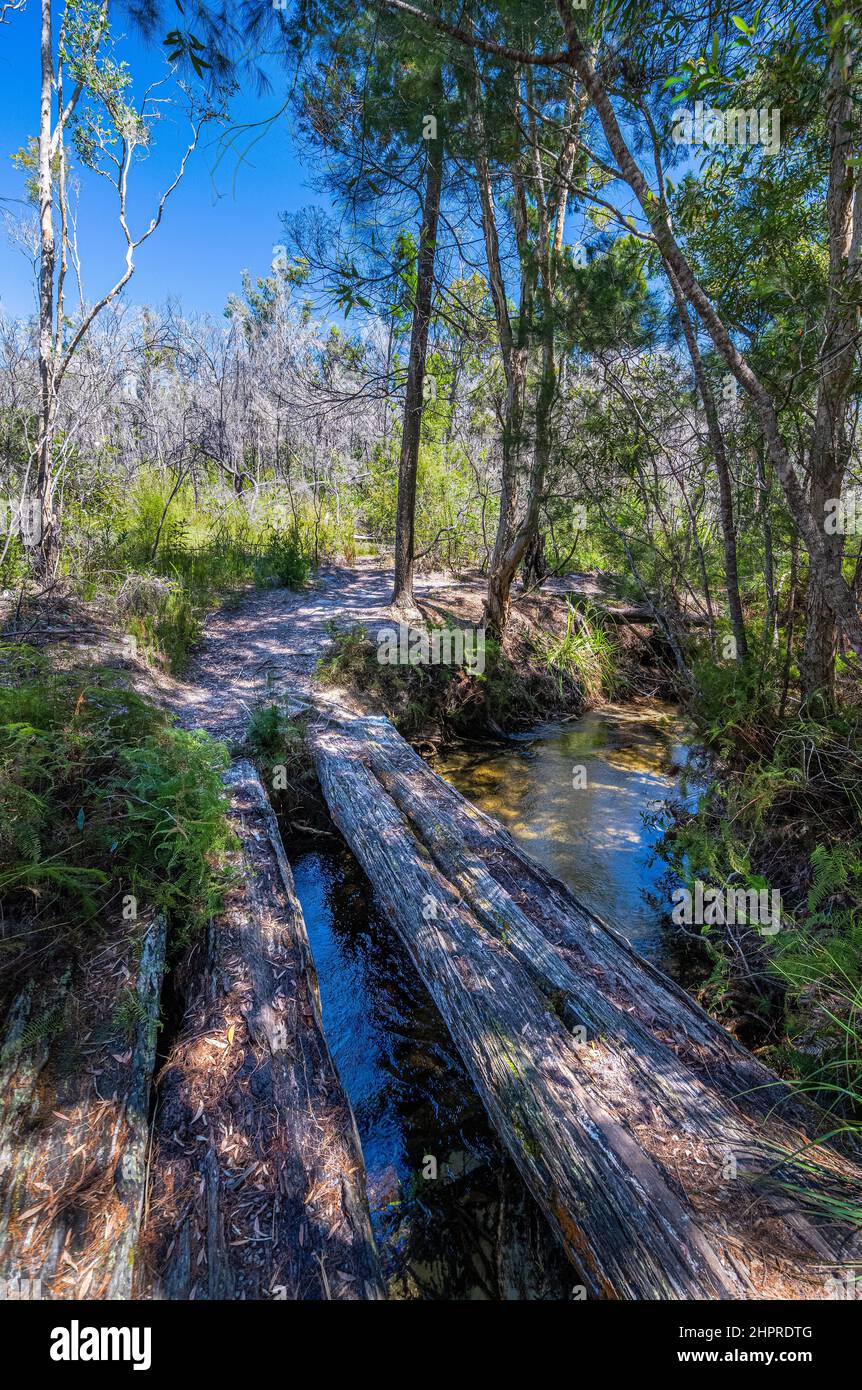 Timber bridge hi-res stock photography and images - Alamy