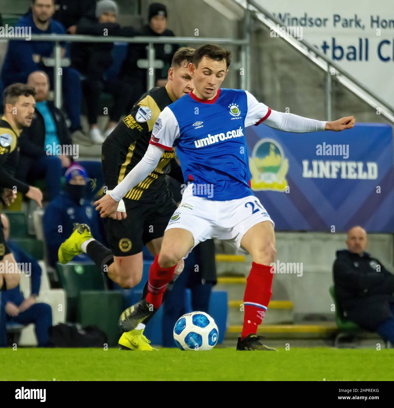 Stephen fallon linfield nifl hi-res stock photography and images - Alamy