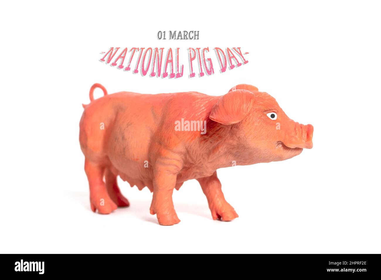 March 01, National Pig Day, celebrated annually on March 1st, is the ...