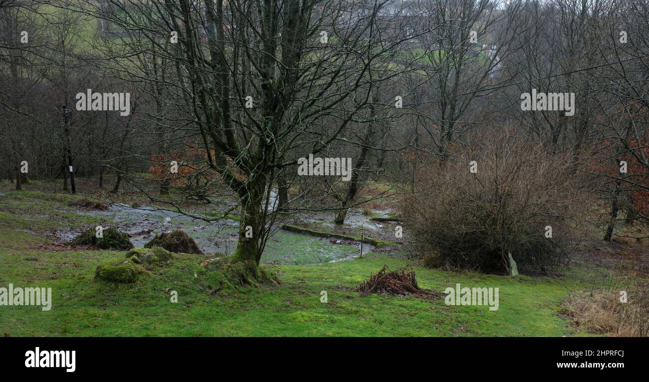 Unexpected emergence of usually dormant spring after continuous heavy ...