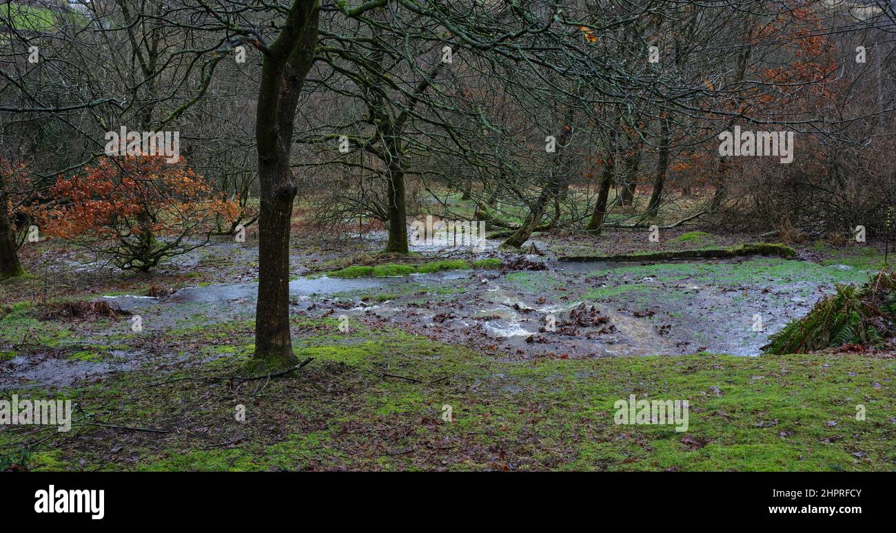 Unexpected emergence of usually dormant spring after continuous heavy ...